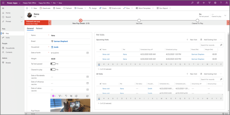 Power Apps Model Driven - Fusion Solution